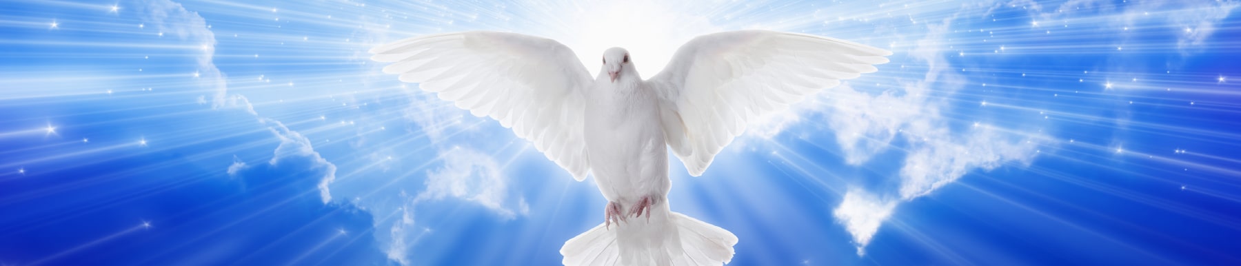 Spirit head-min - CS Alliance